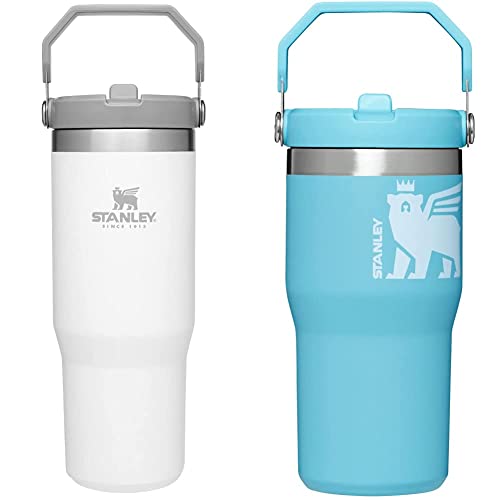 Stanley IceFlow Stainless Steel Tumbler & Classic IceFlow Flip Straw Tumbler for Kids (8 or Above), 20oz, Stan The Bear Stainless Steel Tumbler with Double-Wall Vacuum Insulation