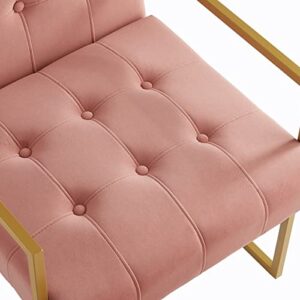 24KF Modern Blush Velvet Button Tufted Accent Chair with Golden Metal Stand, Decorative Furniture Chairs for Living Room Bedroom - Blush