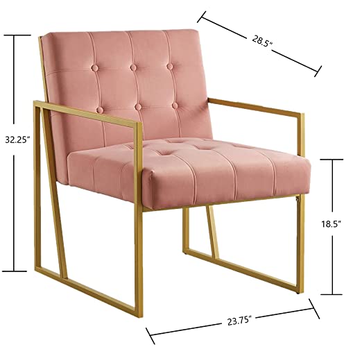 24KF Modern Blush Velvet Button Tufted Accent Chair with Golden Metal Stand, Decorative Furniture Chairs for Living Room Bedroom - Blush