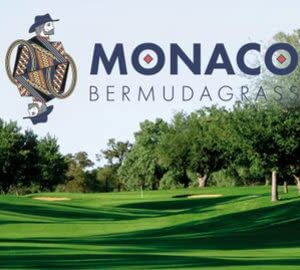 Monaco Bermuda Grass Seed (50 lbs.)