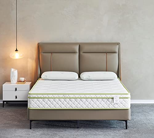 Queen Size Mattress - 8 Inch Cool Comfort Foam & Spring Hybrid Mattress with Breathable Organic Cotton Cover - Quilted Foam Plush Euro Pillow Top - Rolled in a Box - Oliver & Smith