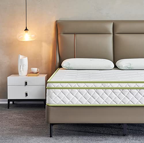 Queen Size Mattress - 8 Inch Cool Comfort Foam & Spring Hybrid Mattress with Breathable Organic Cotton Cover - Quilted Foam Plush Euro Pillow Top - Rolled in a Box - Oliver & Smith