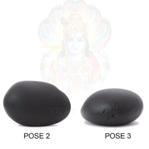 Vedic Vaani Gandaki Lord Vishnu Shila Shaligram (Pack of 4)