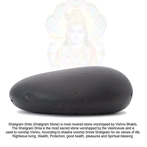 Vedic Vaani Gandaki Lord Vishnu Shila Shaligram (Pack of 4)