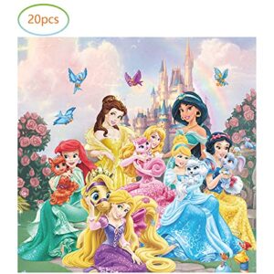 Hysnol Princess Birthday Party Tableware Supplies, 20 Plates and 20 Napkins, for Princess Theme Birthday Party Decorations