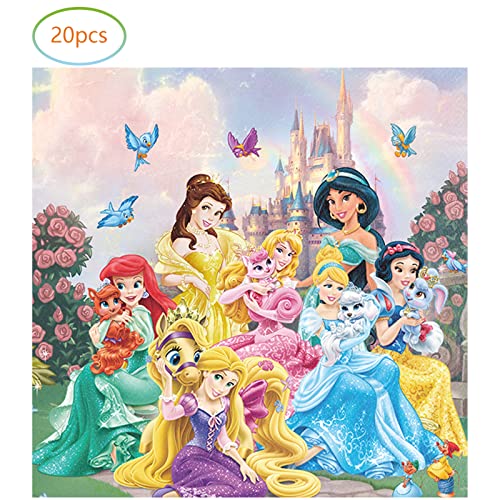 Hysnol Princess Birthday Party Tableware Supplies, 20 Plates and 20 Napkins, for Princess Theme Birthday Party Decorations