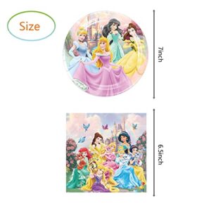 Hysnol Princess Birthday Party Tableware Supplies, 20 Plates and 20 Napkins, for Princess Theme Birthday Party Decorations