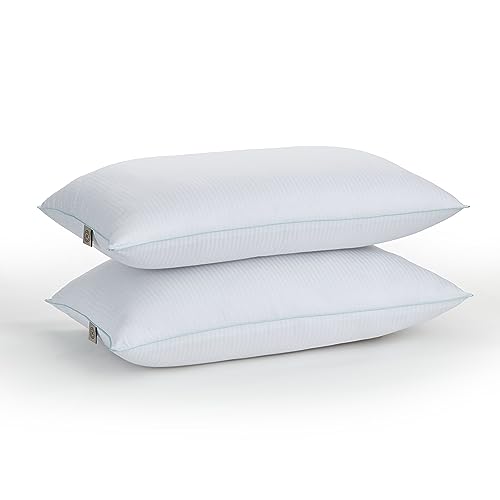 MARTHA STEWART Down Alternative Bed Queen Pillows Set Of 2, Cooling Hotel Pillow, Memory Foam-Like Fiber Fill, Premium Side Sleeper Dorm Pillows For Adults, Pressure Relieving, Dobby Stripe, White