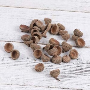 Ciieeo Natural Acorns Top Bulk Real Rustic Acorns Caps for Craft Christmas Thanksgiving Pine Cone Ornament Winter Xmas Tree Wreath Vase Filler Decoration 50PCS