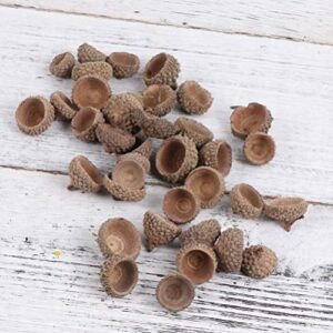 Ciieeo Natural Acorns Top Bulk Real Rustic Acorns Caps for Craft Christmas Thanksgiving Pine Cone Ornament Winter Xmas Tree Wreath Vase Filler Decoration 50PCS