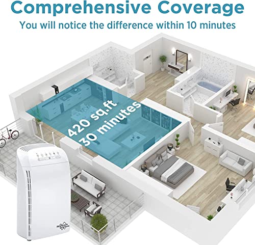 MSA3 Air Purifier with Two Extra Original MSA3 Replacement Filter