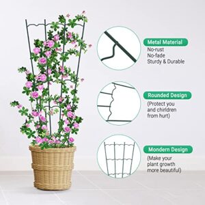 HiGift 4 Pack 24'' Garden Trellis for Climbing Plants Outdoor, Plant Trellis for Climbing Plants Indoor, Metal Plant Stakes Plant Trellis for Houseplant Vine Ivy Flowers