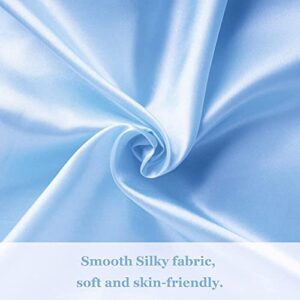 Luxury Satin Silk Pillow Case 2 Pack Pillowcase for Hair and Skin Satin Pillow Covers with Zipper Closure (Standard(20"x26"), Light Blue)