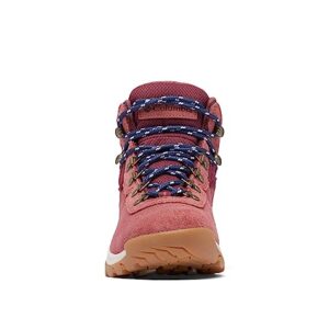 Columbia Women's Newton Ridge Plus Waterproof Amped, Beetroot/Deep Madeira, 7.5