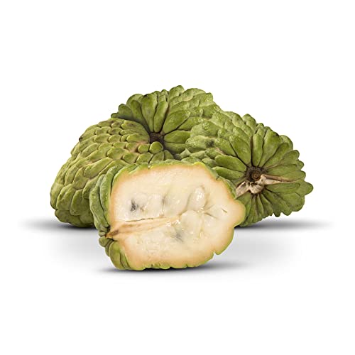 CHUXAY GARDEN Atemoya,Custard Apple Tree 10 Seeds Sweet Fruit Green Health Organic Naturally Occurring Hybrid Tree Great Gardening Gifts