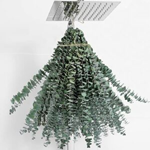 20 pcs eucalyptus for shower hanging dried eucalyptus stems 17" real eucalyptus 100% made from fresh eucalyptus leaves artificial wedding decor home decor farmhouse decor diy artificial plants,green