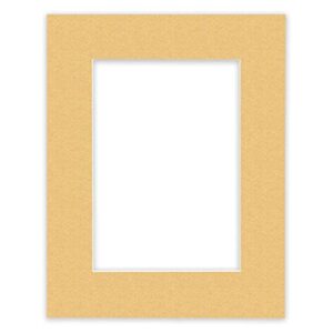 Craig Frames B5075 Pre-Cut Mat Board for 20x30 Print, 24x36, Frosted Gold