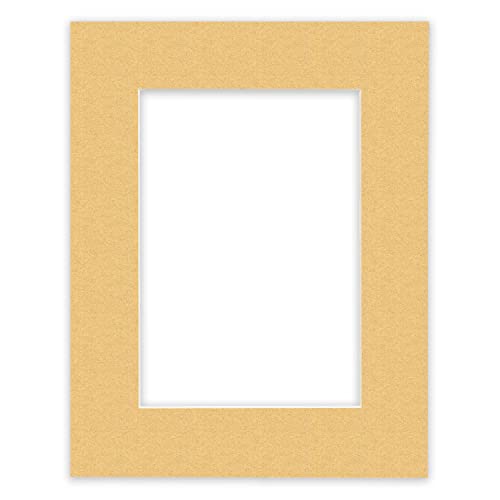 Craig Frames B5075 Pre-Cut Mat Board for 20x30 Print, 24x36, Frosted Gold