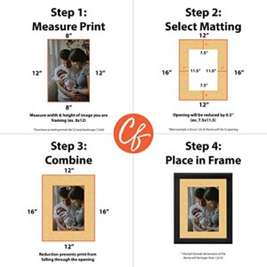 Craig Frames B5075 Pre-Cut Mat Board for 20x30 Print, 24x36, Frosted Gold