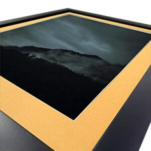 Craig Frames B5075 Pre-Cut Mat Board for 20x30 Print, 24x36, Frosted Gold