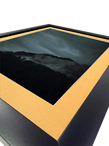 Craig Frames B5075 Pre-Cut Mat Board for 20x30 Print, 24x36, Frosted Gold