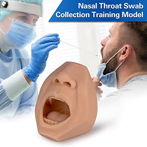 SimCoach Nasal Swab, Throat Swab Test Training Model, Swab Collection Simulator, Saliva Oral Swab, Acupuncture, Puncture Practice Model (Brown)