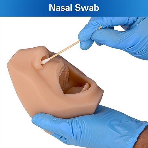 SimCoach Nasal Swab, Throat Swab Test Training Model, Swab Collection Simulator, Saliva Oral Swab, Acupuncture, Puncture Practice Model (Brown)