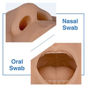 SimCoach Nasal Swab, Throat Swab Test Training Model, Swab Collection Simulator, Saliva Oral Swab, Acupuncture, Puncture Practice Model (Brown)