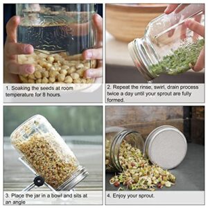 GORGECRAFT 4 Sets Sprouting Jar Lids 304 Stainless Steel Mesh Lid Growing Alfalfa Sprout Seeds Salad Strainer Lids Kit for Wide Mouth Mason Jars Canning Jar