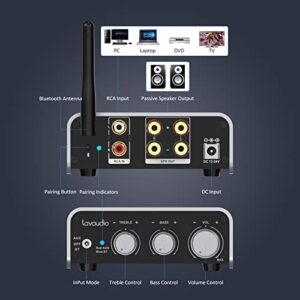 Lavaudio DS300 Bluetooth 5.1 Amplifier Receiver Home Stereo System Components - Mini Hi-Fi Class D Integrated Amp 2 Channel 100W×2 for Home Theater Audio