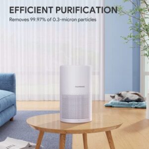 Air Purifiers for Bedroom, FULMINARE H13 Small Air Purifiers for Home Pets with HEPA Air Filter, Quiet Air Cleaner With Night Light, Remove 99.97% 0.01 Microns Dust, Smoke, Pollen