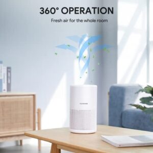 Air Purifiers for Bedroom, FULMINARE H13 Small Air Purifiers for Home Pets with HEPA Air Filter, Quiet Air Cleaner With Night Light, Remove 99.97% 0.01 Microns Dust, Smoke, Pollen