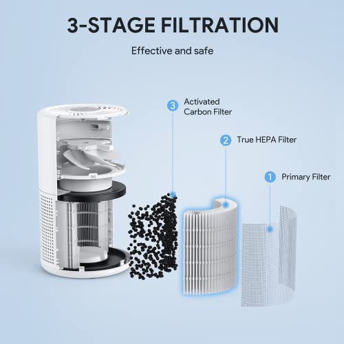 Air Purifiers for Bedroom, FULMINARE H13 Small Air Purifiers for Home Pets with HEPA Air Filter, Quiet Air Cleaner With Night Light, Remove 99.97% 0.01 Microns Dust, Smoke, Pollen