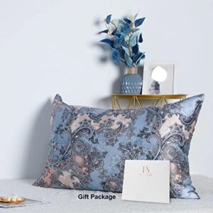 FELYSIK Blue Gray Paisley Silk Pillowcase for Hair and Skin - Standard 20"x26", 22 Momme 100% Mulberry Silk Floral Print Pillow Cases with Zipper