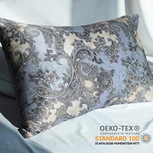 FELYSIK Blue Gray Paisley Silk Pillowcase for Hair and Skin - Standard 20"x26", 22 Momme 100% Mulberry Silk Floral Print Pillow Cases with Zipper