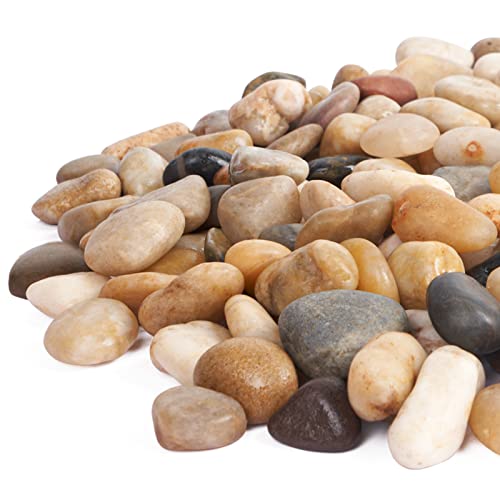 GASPRO 10lbs Aquarium Rocks for Fish Tank, Decorative River Rocks for Planters, Landscaping, Stones for Garden,Turtle Tank, 3/4-1 1/2 Inch