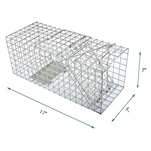 Anyhall Live Animal Cage Trap for Squirrels