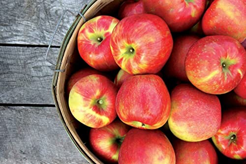 5 Honeycrisp Apple Seeds Fruit Tree for Your Garden Planting Outdoors, Tropical Fruit Sweet Heirloom Seeds Vine