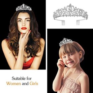 Miucat Birthday Crowns for Women, Birthday Sash and Tiara for Women, Silver Birthday Queen Sash and Crowns for Women Girls Birthday Gift