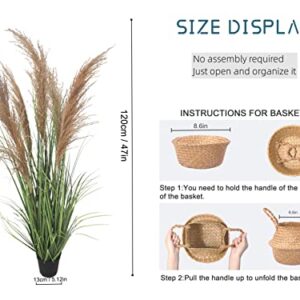 ECOFOREST 47" (4ft,1pack) Pampas Grass Potted Plants - Artificial Faux Plants Featuring Tall Grass, Fake Grass - Perfect Home Decor for Plant Room Decoration or As Floor Plants.