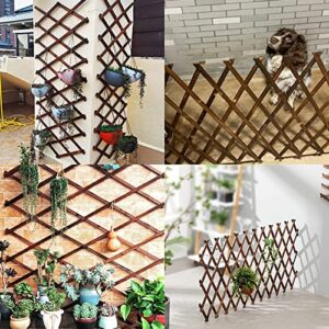 Expandable Garden Trellis, Wooden Lattice Fence Wall Panel Stretchable Decorative Fence Lattice Trellis Frame for Climbing Plants Vine Ivy Rose for Room Patio Garden Decorative Fence (1)