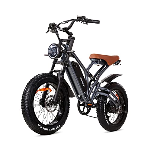 JANSNO Electric Bike 20" x 4.0 Electric Bike for Adults with 750W Brushless Motor, 48V 14Ah Removable Battery, 7-Speed Transmission UL Certified