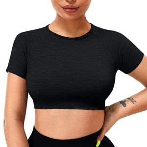 YEOREO Amplify Women's Seamless Short Sleeve Crop Top Workout Gym Yoga Tops for Women Athletic Shirts Tee