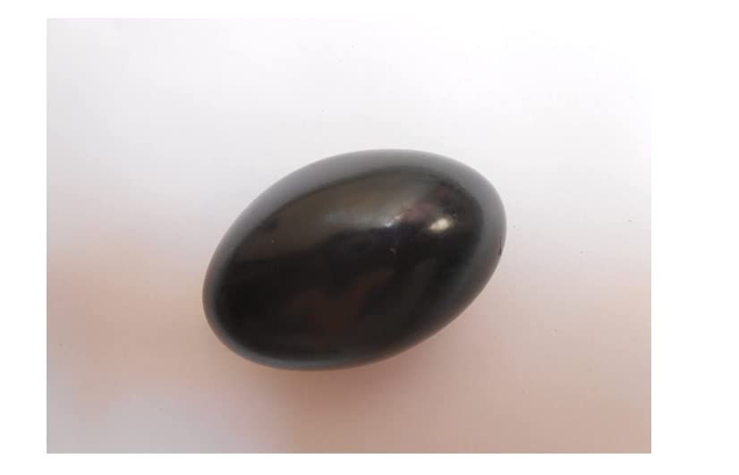 SynSpiritStore Original Shaligram/Shalagram Shila Stone (Approx. 2 Inch) for Lord Vishnu Pooja and Tulsi Pooja, Nepal Gandaki River Stone