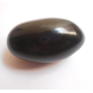 SynSpiritStore Original Shaligram/Shalagram Shila Stone (Approx. 2 Inch) for Lord Vishnu Pooja and Tulsi Pooja, Nepal Gandaki River Stone