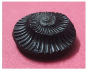 synspiritstore original shaligram/shalagram shila stone (approx. half inch) for lord vishnu pooja and tulsi pooja, nepal gandaki river stone