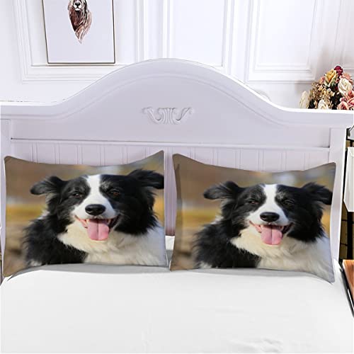 Quilt Cover Twin Size Border Collie 3D Bedding Sets Collie, Dog Duvet Cover Breathable Hypoallergenic Stain Wrinkle Resistant Microfiber with Zipper Closure,beding Set with 2 Pillowcase