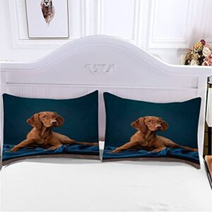 Quilt Cover Queen Size Hungarian Hound 3D Bedding Sets Dog, Animal Duvet Cover Breathable Hypoallergenic Stain Wrinkle Resistant Microfiber with Zipper Closure,beding Set with 2 Pillowcase