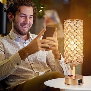 Hong-in Gold Lamps Set of 2, Dimmable Gold Lamps for Nightstand with USB-C+A & AC Charging Ports, 3-Way USB Crystal Lamp, Bedside Desk Light for Bedroom Living Room Home Office(Bulb Included)