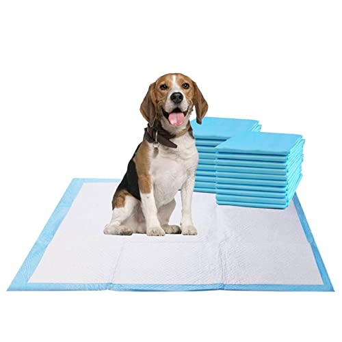 Paul Frank - Puppy Pads Pee Pads for Dogs Potty Training Dog Pads Odor Absorber Pee Pad Holder Pads for Dogs Urine Leak Proof Gel Pad Super Absorbent Pads Disposable